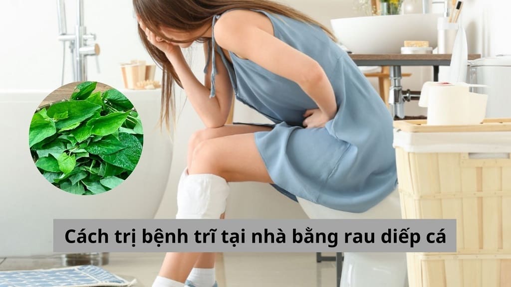 Cách trị bệnh trĩ tại nhà bằng rau diếp cá như thế nào để hiệu quả?